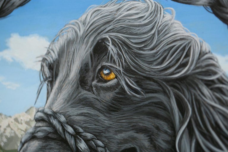 Emily White - "Afghan Hound I (Hindu Kush Mountains)", Figurative, Dog ...