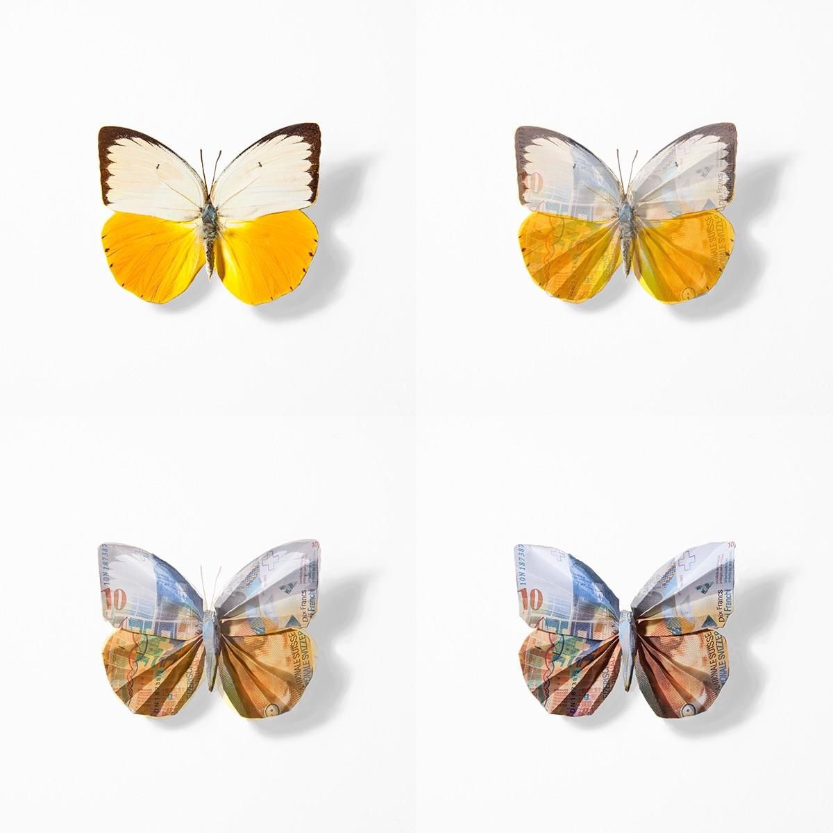 Gabriel Angemi - Untitled 28 For Sale at 1stDibs | gabriel angemi, gabe ...