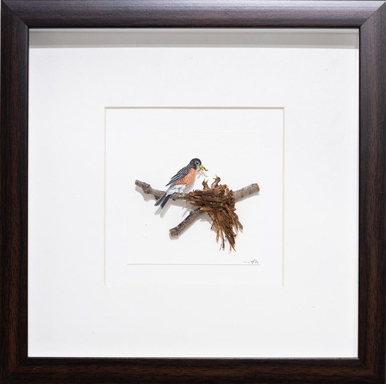 Nayan and Vaishali - American Robin in nest For Sale at 1stDibs