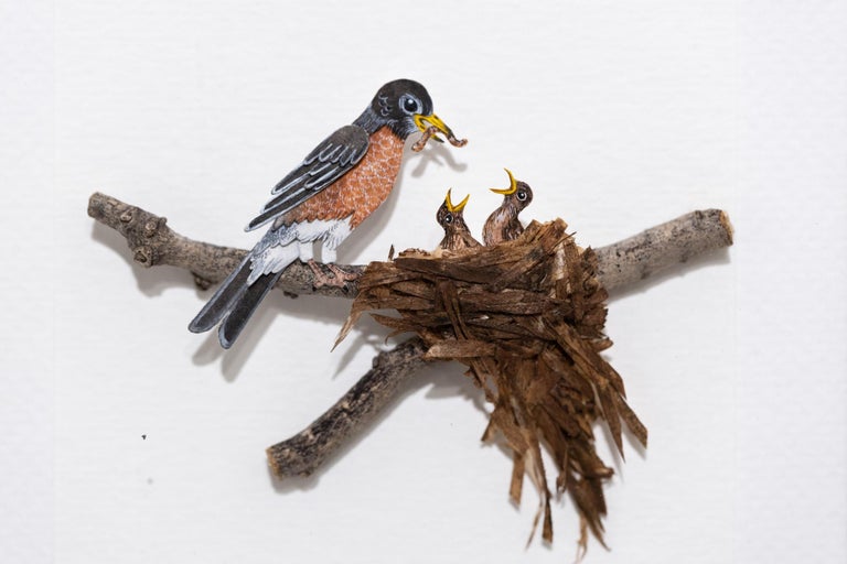 Nayan and Vaishali - American Robin in nest For Sale at 1stDibs