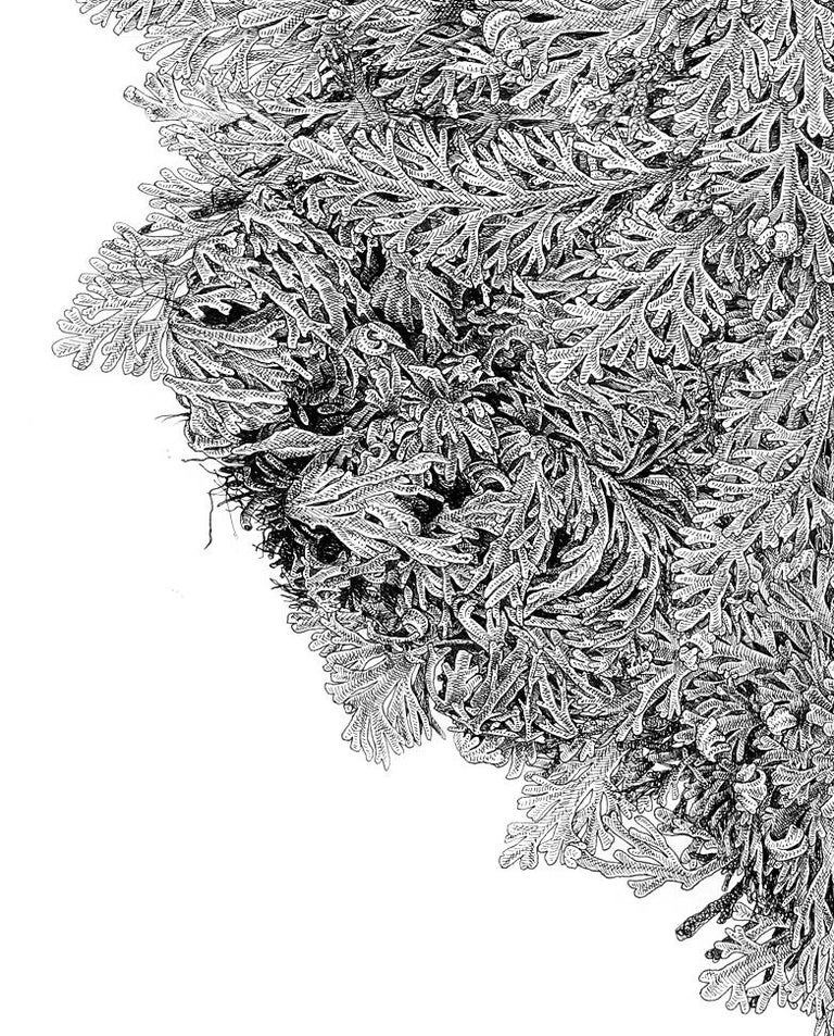 Caroline Carlsmith - Jericho Labyrinth IV For Sale at 1stDibs