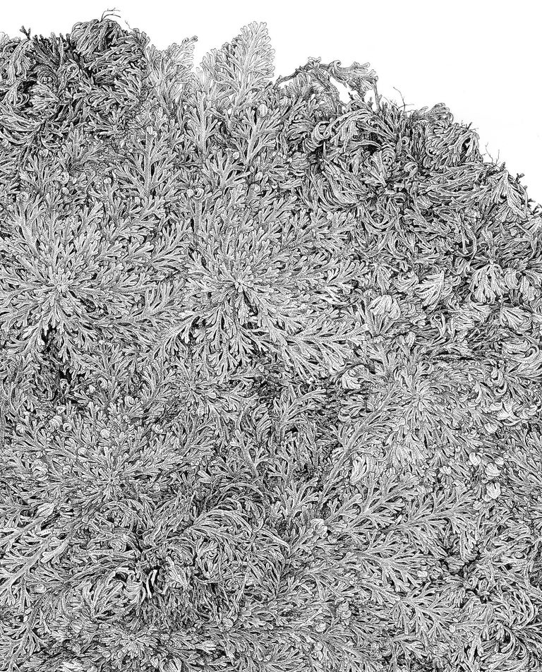 Caroline Carlsmith - Jericho Labyrinth IV For Sale at 1stDibs