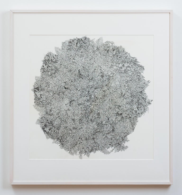 Caroline Carlsmith - Jericho Labyrinth IV For Sale at 1stDibs