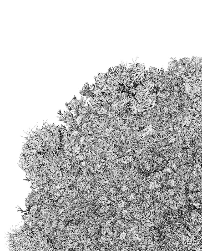 Caroline Carlsmith - Jericho Labyrinth VII For Sale at 1stDibs