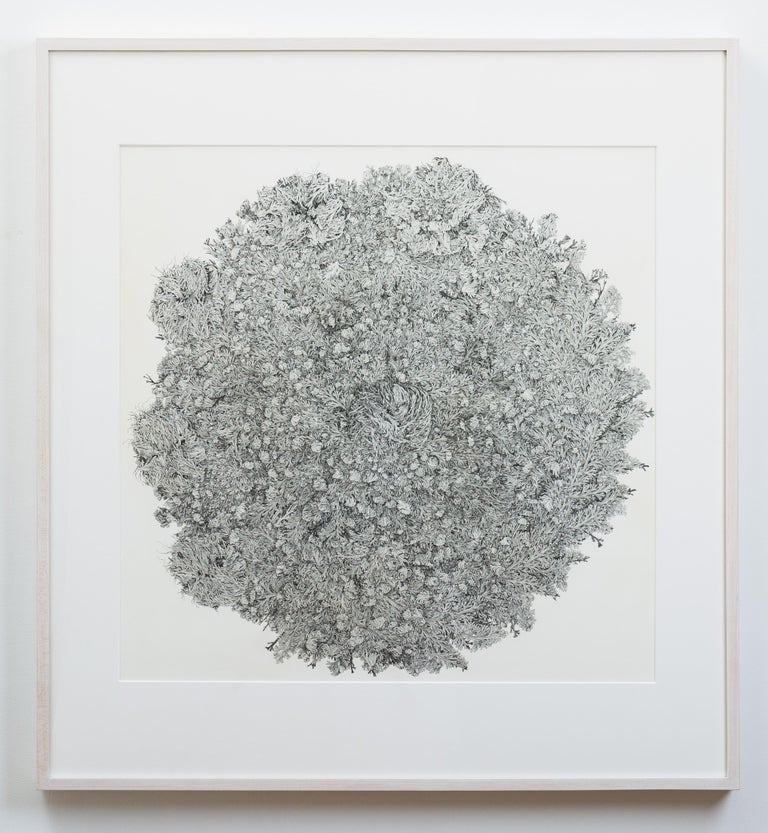 Caroline Carlsmith - Jericho Labyrinth VII For Sale at 1stDibs