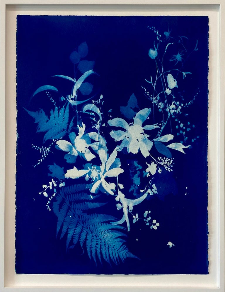 Rachel Wolfson Smith - Pteridomania, Contemporary Figurative Cyanotype ...