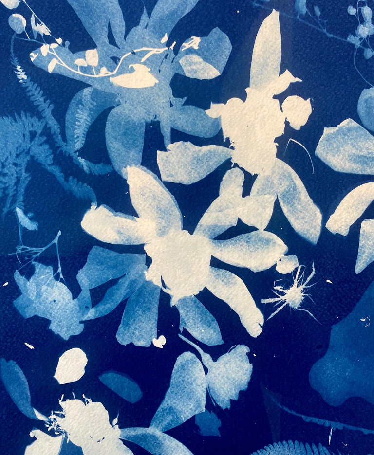 Rachel Wolfson Smith - Floriography, Contemporary Figurative Cyanotype ...