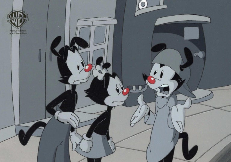 Warner Bros. Studio Artists - Animaniacs Original Production Cel on ...