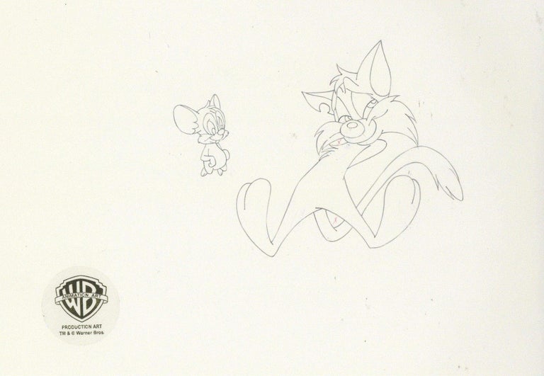 Warner Bros. Studio Artists - Tiny Toons Original Production Cel with ...