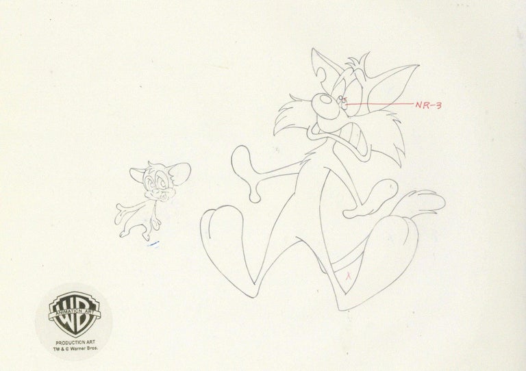 Warner Bros. Studio Artists - Tiny Toons Original Production Cel with ...
