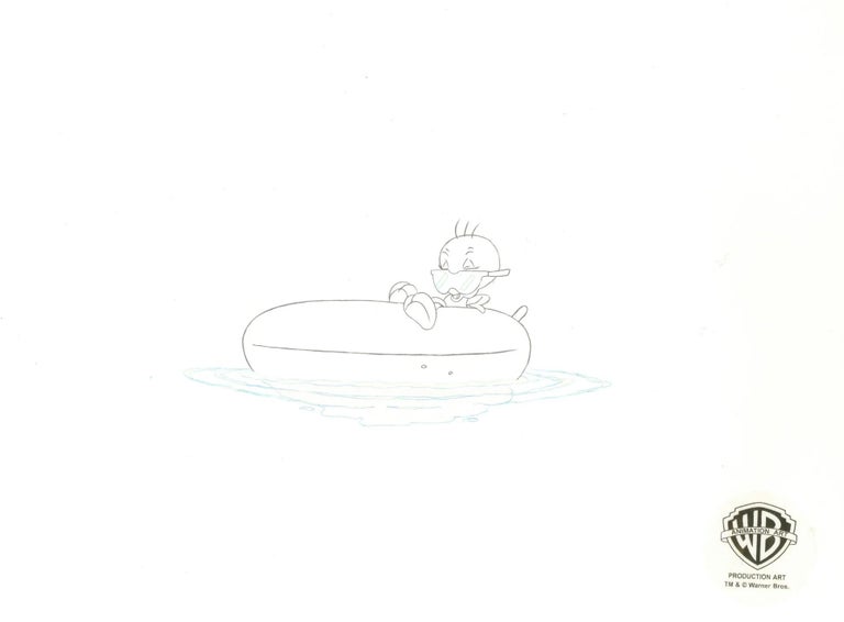 Piolin Blanco Y Negro