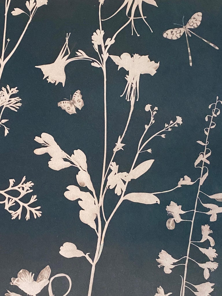 Julia Whitney Barnes - Cyanotype Painting, Tea Toned Poppies, Bleeding ...