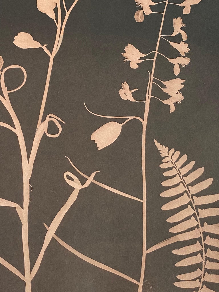 Julia Whitney Barnes - Cyanotype Painting, Tea Toned Poppies, Bleeding ...