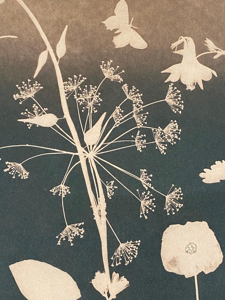 Julia Whitney Barnes - Cyanotype Painting, Tea Toned Poppies, Bleeding ...