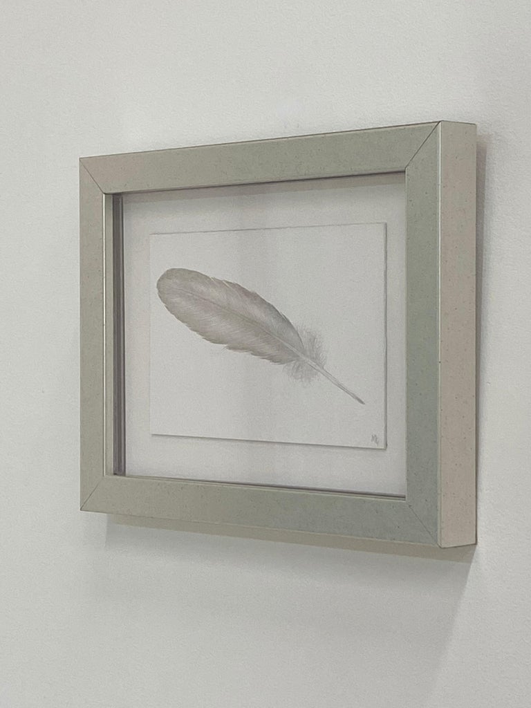 Margot Glass - Small Grey Feather, Silverpoint Drawing of Bird's ...