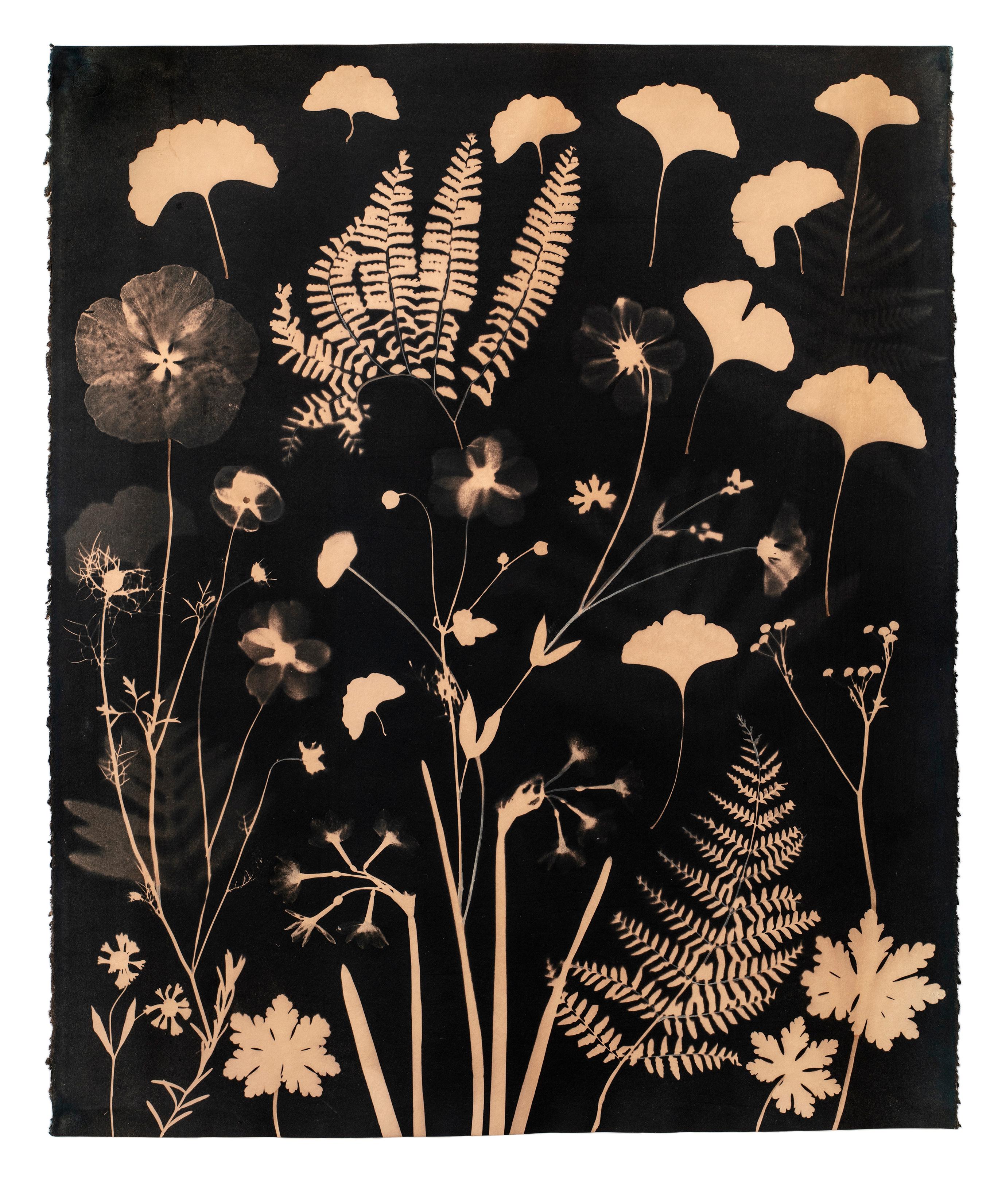 Julia Whitney Barnes - Cyanotype Painting Tea Toned Gingko, Ferns ...