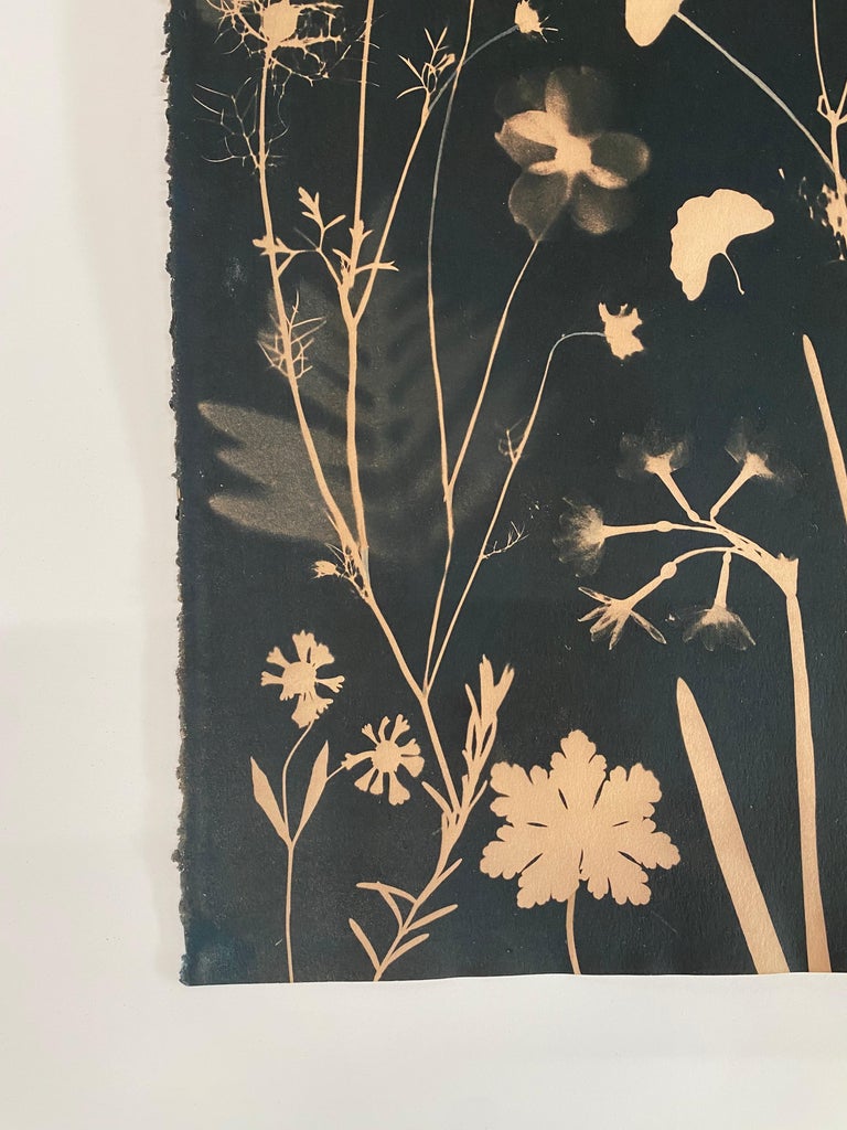 Julia Whitney Barnes - Cyanotype Painting Tea Toned Gingko, Ferns ...