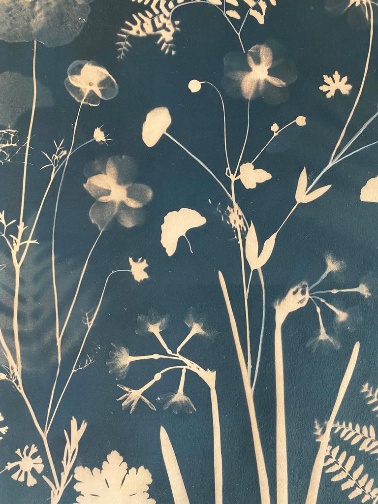 Julia Whitney Barnes - Cyanotype Painting Tea Toned Gingko, Ferns ...
