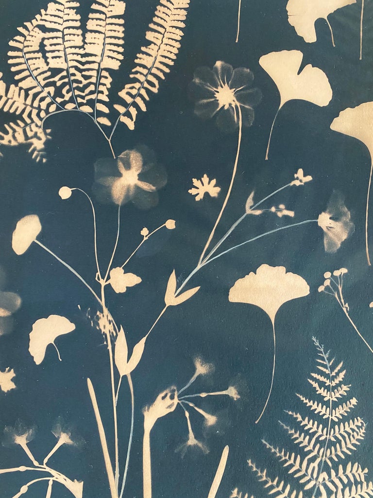 Julia Whitney Barnes - Cyanotype Painting Tea Toned Gingko, Ferns ...