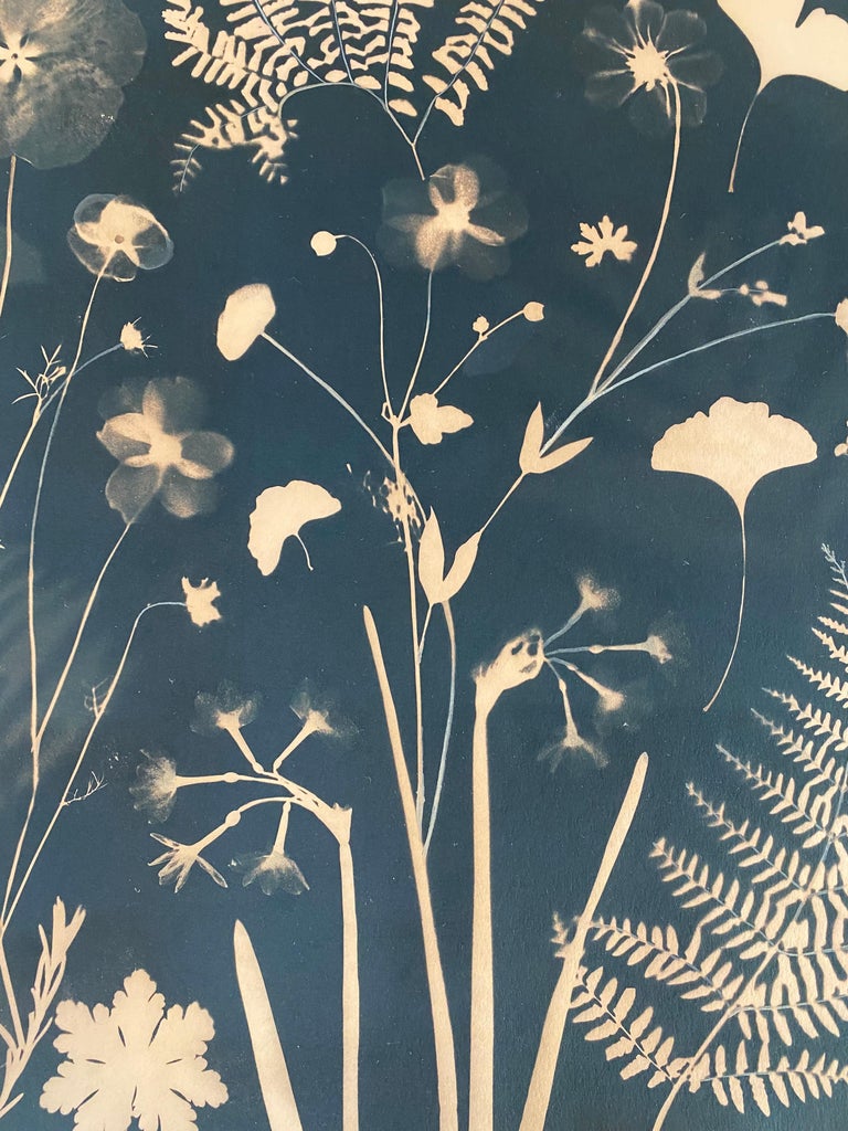 Julia Whitney Barnes - Cyanotype Painting Tea Toned Gingko, Ferns ...