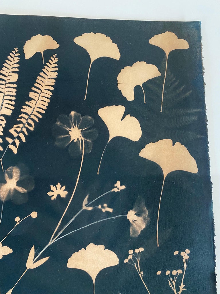 Julia Whitney Barnes - Cyanotype Painting Tea Toned Gingko, Ferns ...