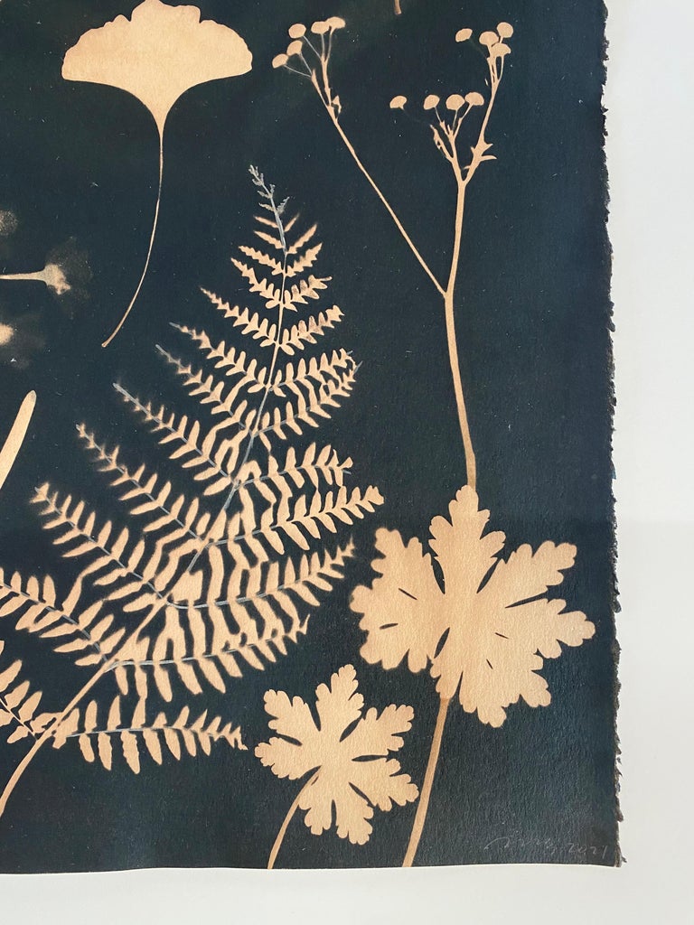 Julia Whitney Barnes - Cyanotype Painting Tea Toned Gingko, Ferns ...