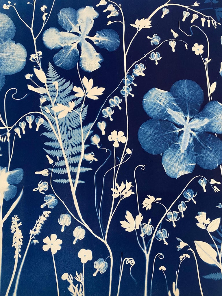 Julia Whitney Barnes - Cyanotype Painting Irises, Bleeding Hearts ...