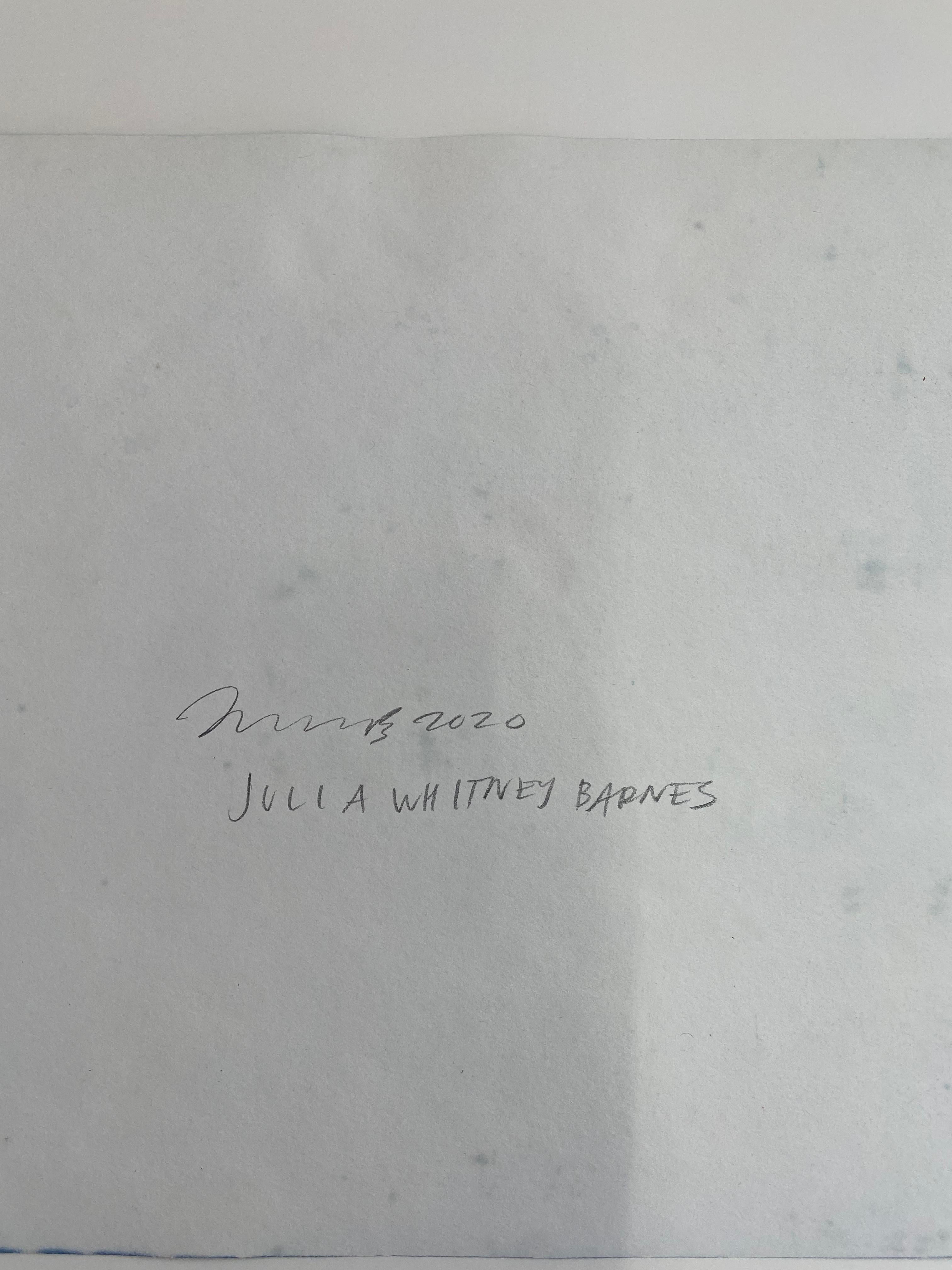 Julia Whitney Barnes - Cyanotype Painting Poppies, Red, Pink Flowers ...