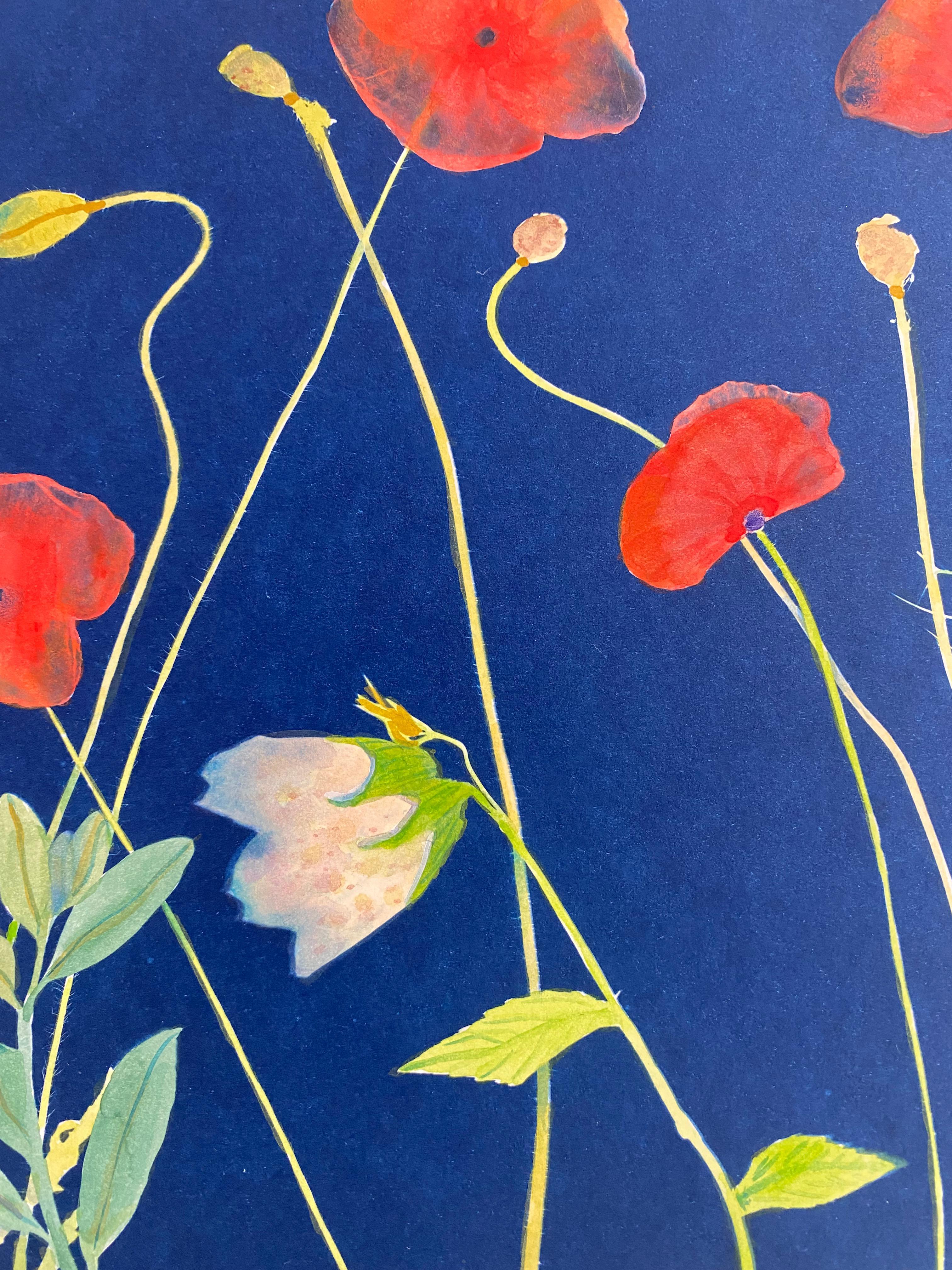 Julia Whitney Barnes - Cyanotype Painting Poppies, Red, Pink Flowers ...