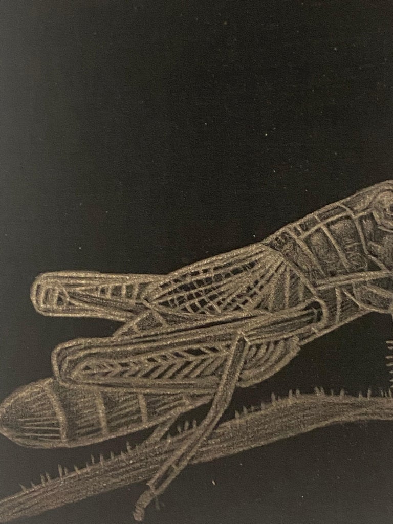 Margot Glass - Grasshopper, Goldpoint Drawing with Insect on Twig in ...