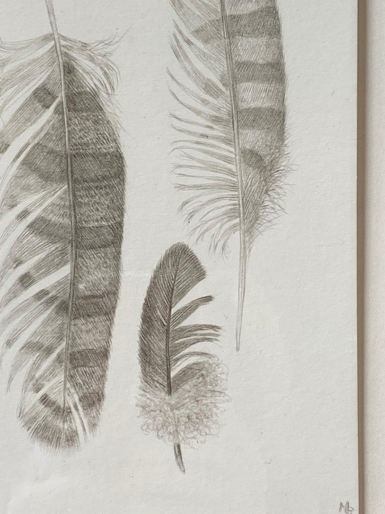Margot Glass - Feather Group Two, Bird's Feathers in Soft Gray, White ...