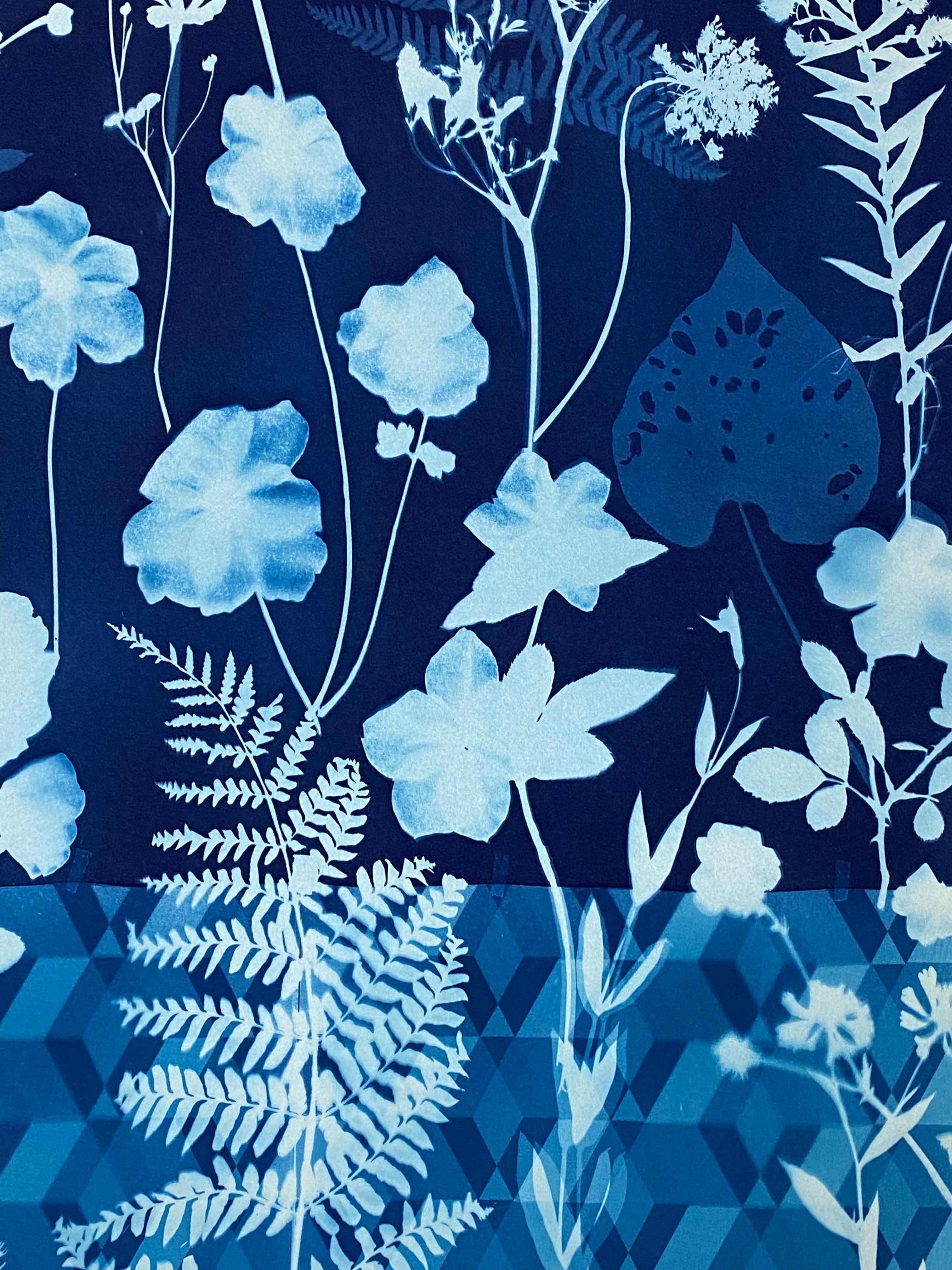 Julia Whitney Barnes - Cyanotype Painting Anemones, Rose of Sharon ...