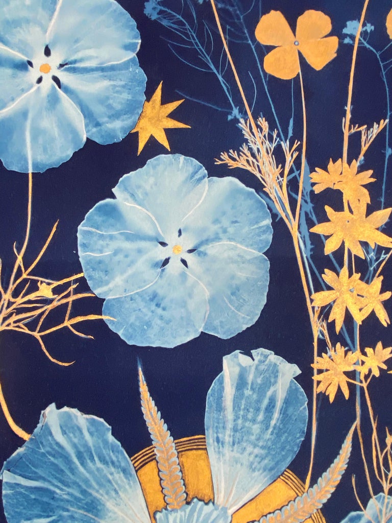 Julia Whitney Barnes - Cyanotype Painting Cosmos, Rose of Sharon, Stars ...