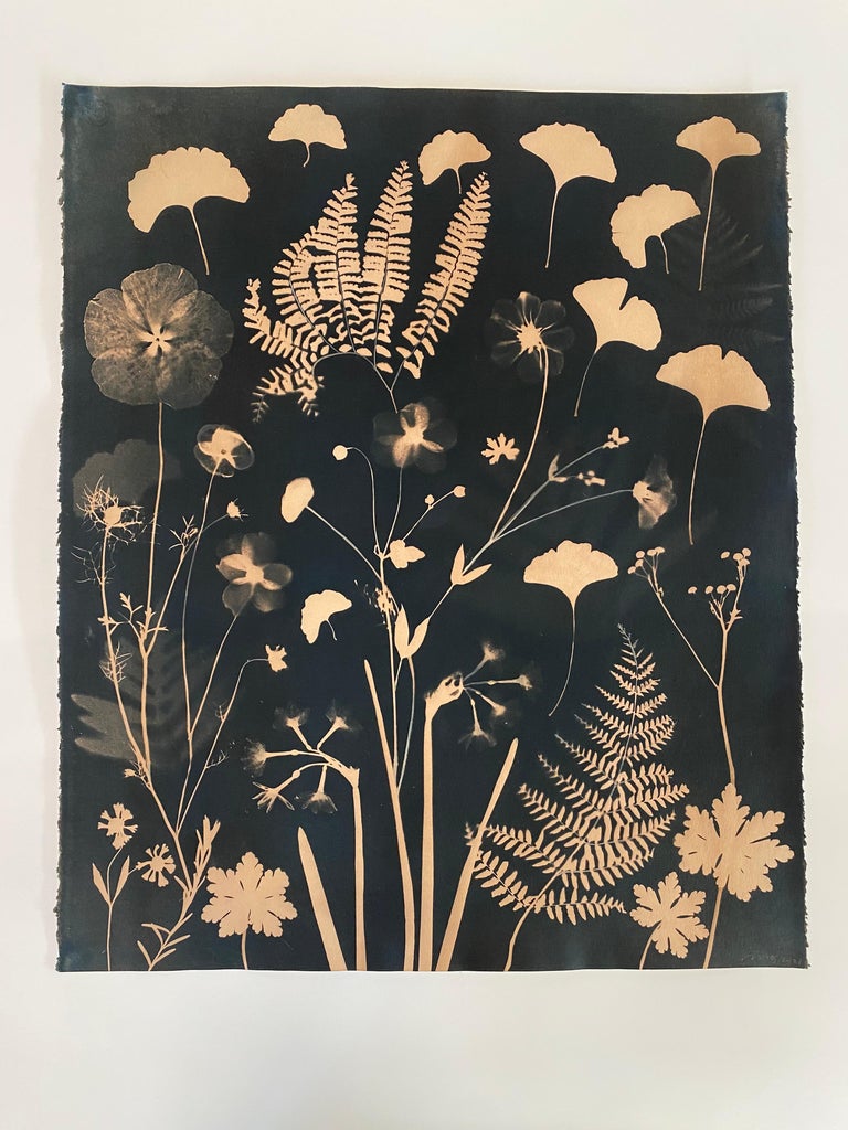 Julia Whitney Barnes - Cyanotype Painting Tea Toned Gingko, Ferns ...
