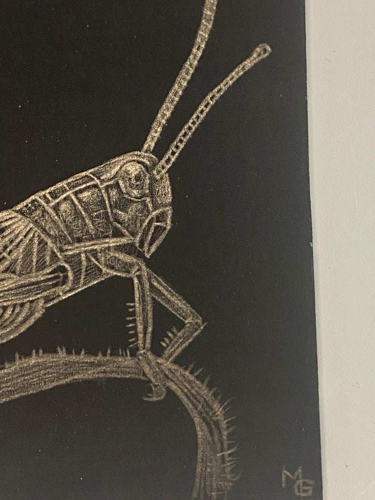 Margot Glass - Grasshopper, Goldpoint Drawing with Insect on Twig in ...
