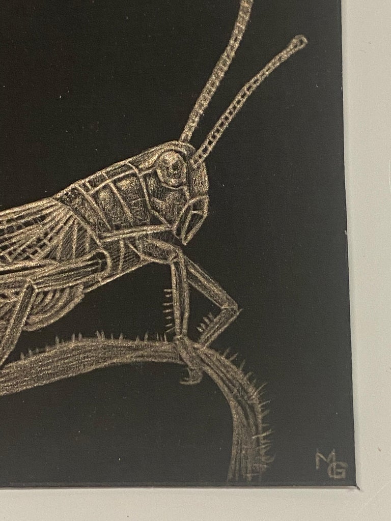 Margot Glass - Grasshopper, Goldpoint Drawing with Insect on Twig in ...