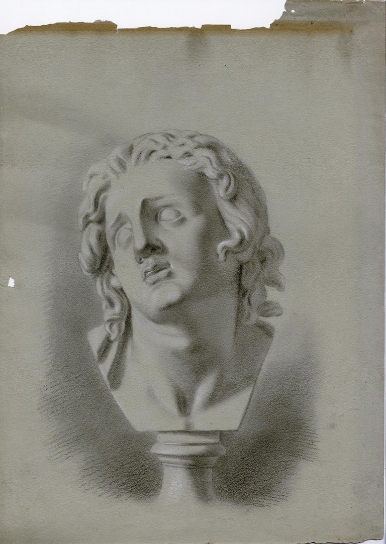 Unknown - Study of the Pergamene Head, or The Dying Alexander For Sale ...