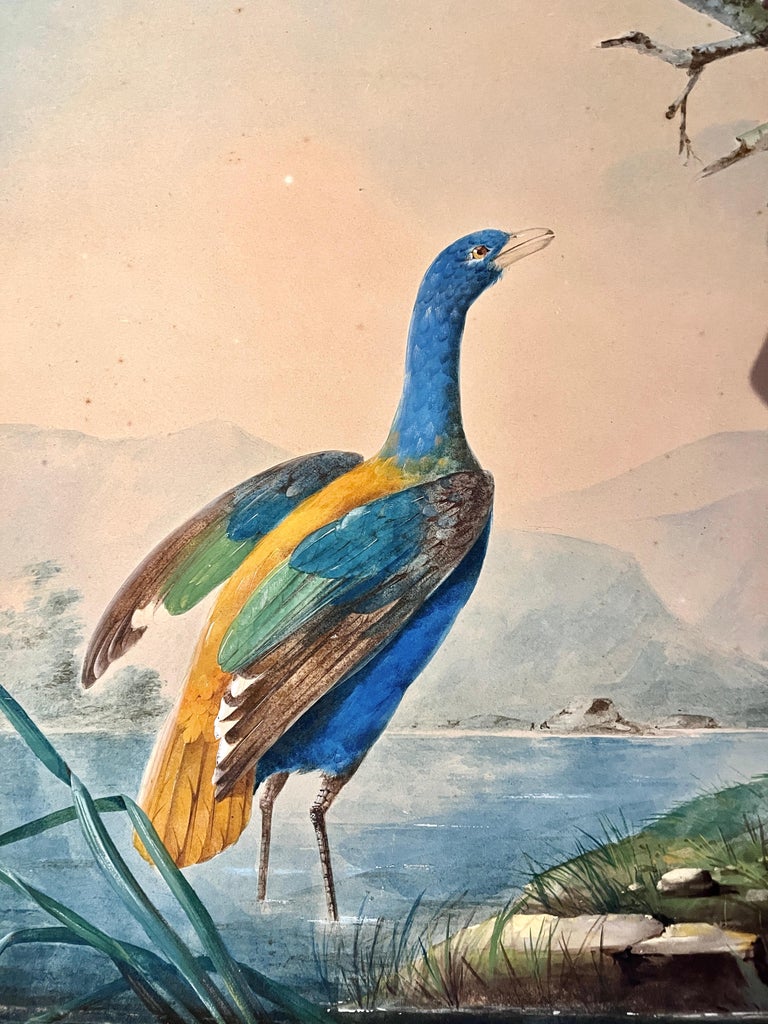 Auguste Pelletier - TWO BIRDS OF PARADISE BY A LAKE For Sale at 1stDibs