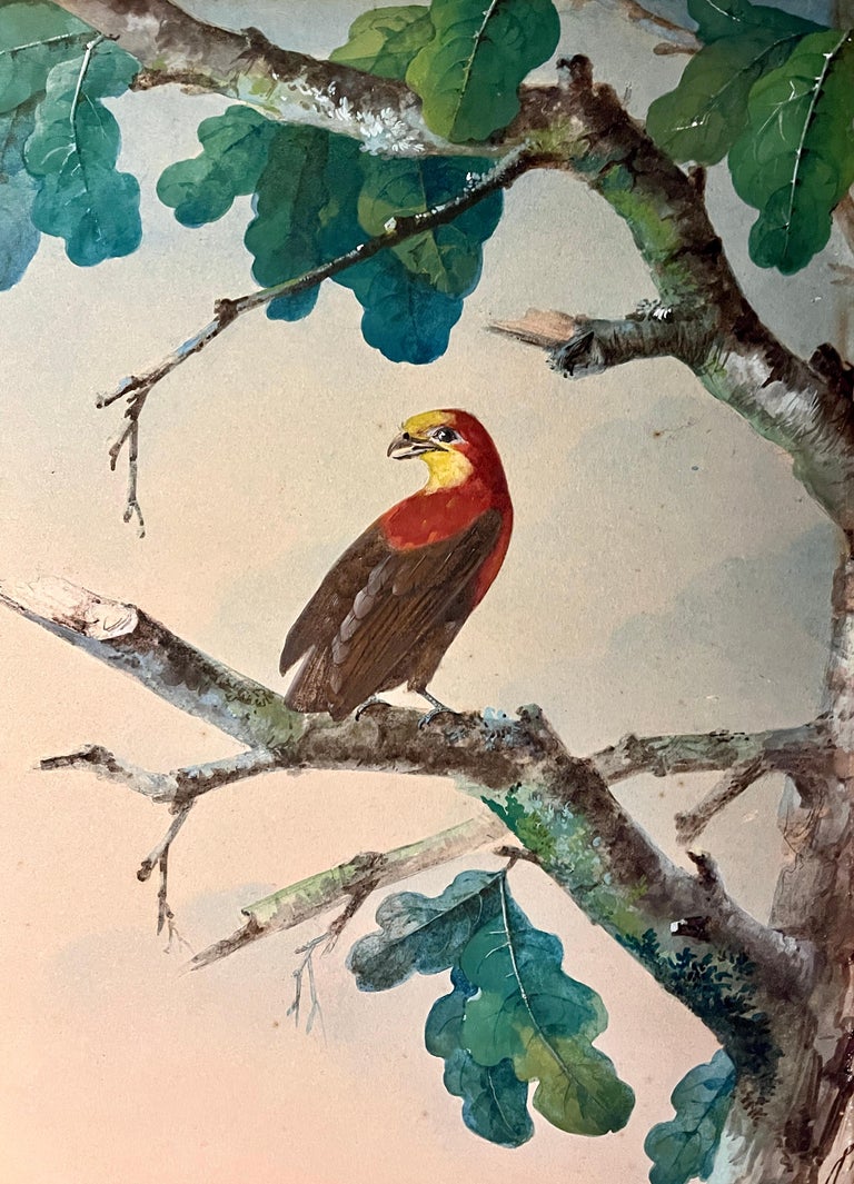 Auguste Pelletier - TWO BIRDS OF PARADISE BY A LAKE For Sale at 1stDibs