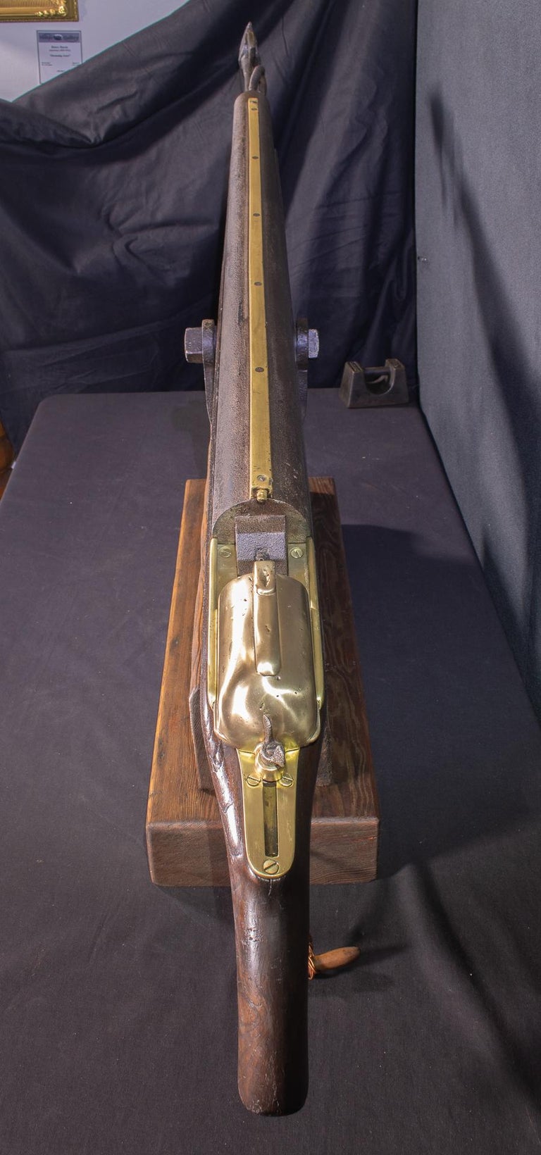 Unknown - Rare Greener Percussion Whaling Harpoon Gun For Sale at 1stDibs