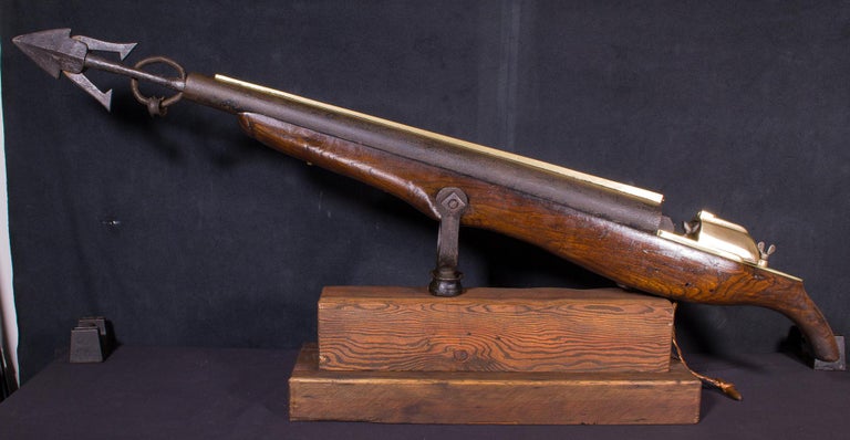 Unknown - Rare Greener Percussion Whaling Harpoon Gun For Sale at 1stDibs