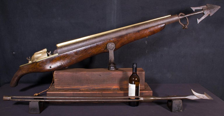 Unknown - Rare Greener Percussion Whaling Harpoon Gun For Sale at 1stDibs