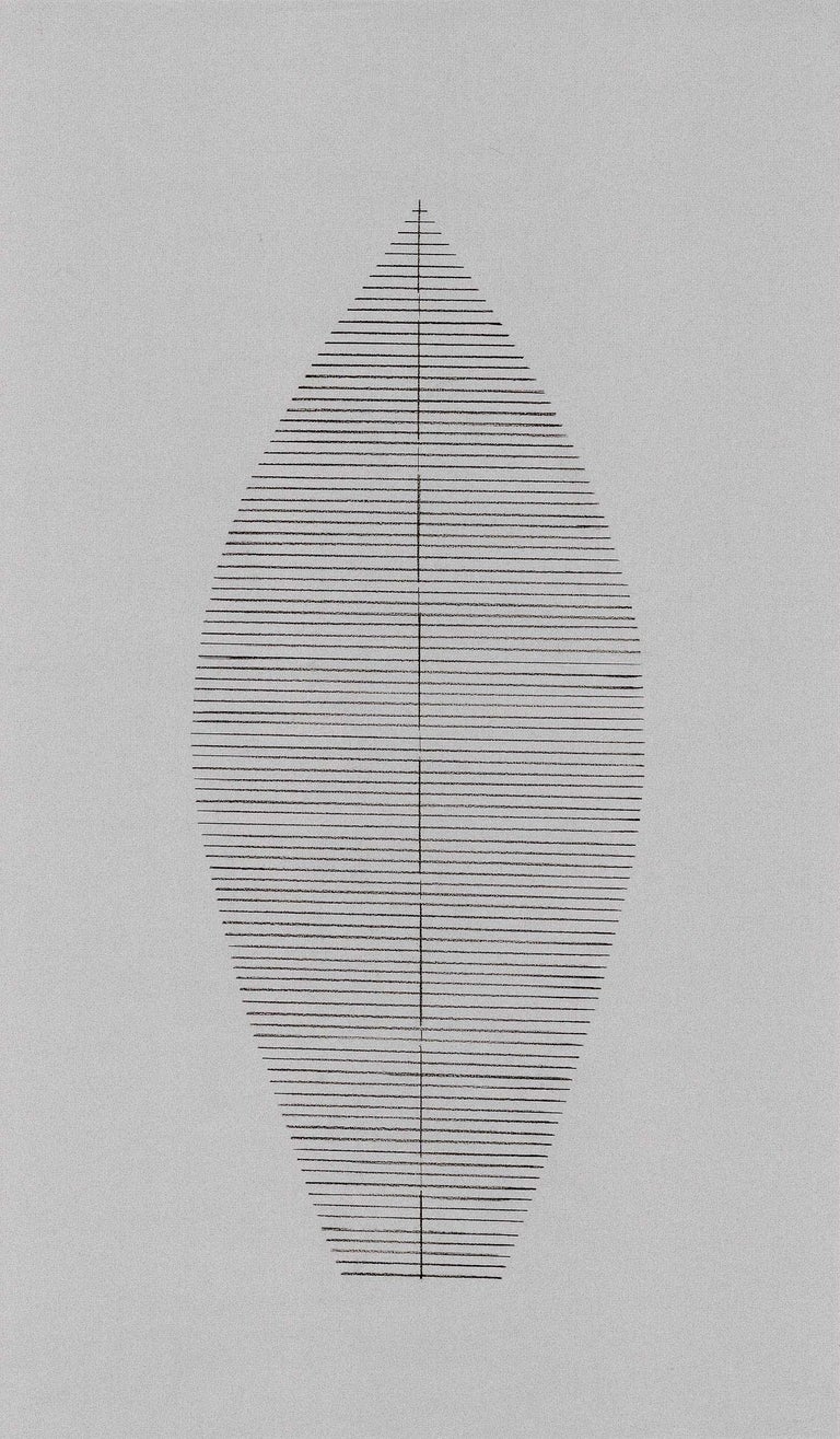 Amanda Andersen - Gore Black lines - Colored Pencil on Paper, curves ...