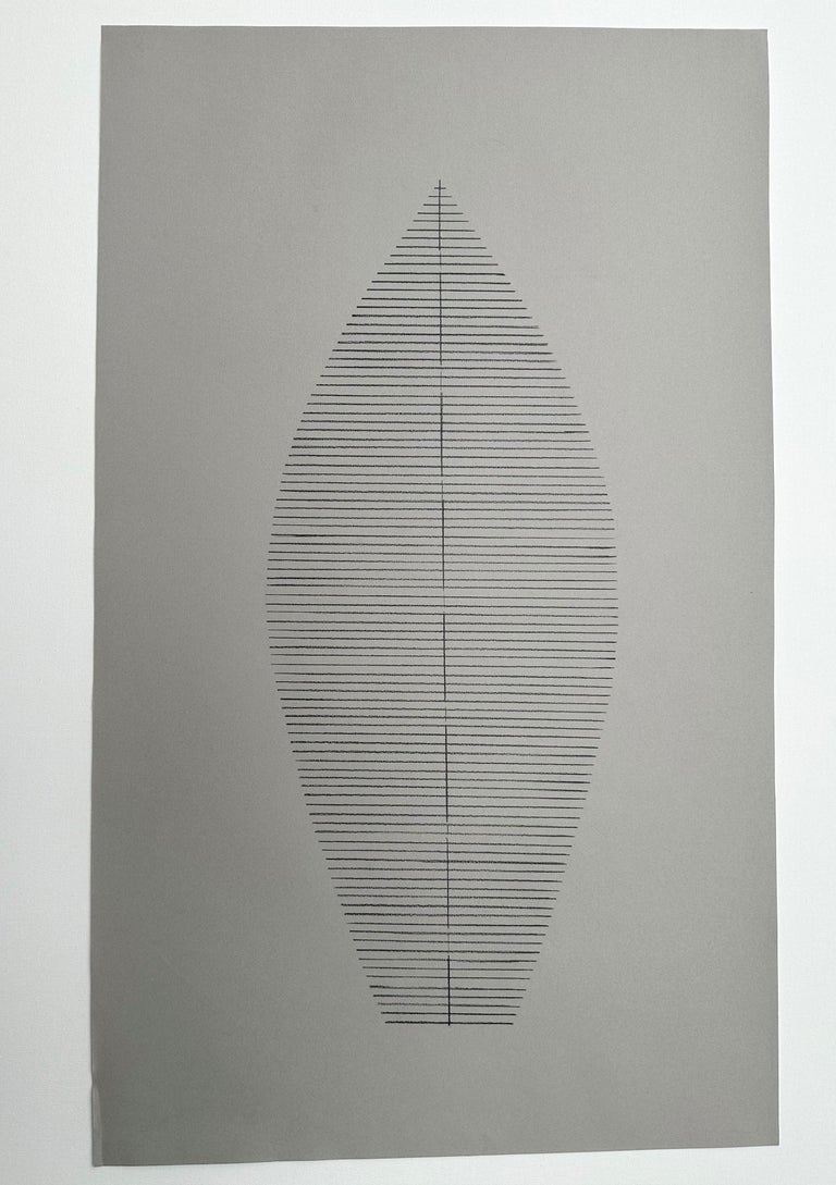 Amanda Andersen - Gore Black lines - Coloured Pencil on Paper, curves ...