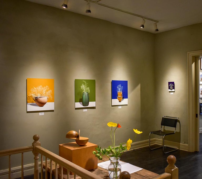 Bryan Meador - Gamboge (Abstracted Flower Still Life Photograph of ...