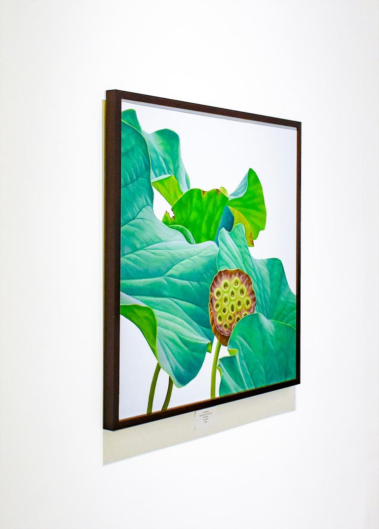 Frank DePietro - Lotus 23: Photo-realist Still Life Painting of Green ...