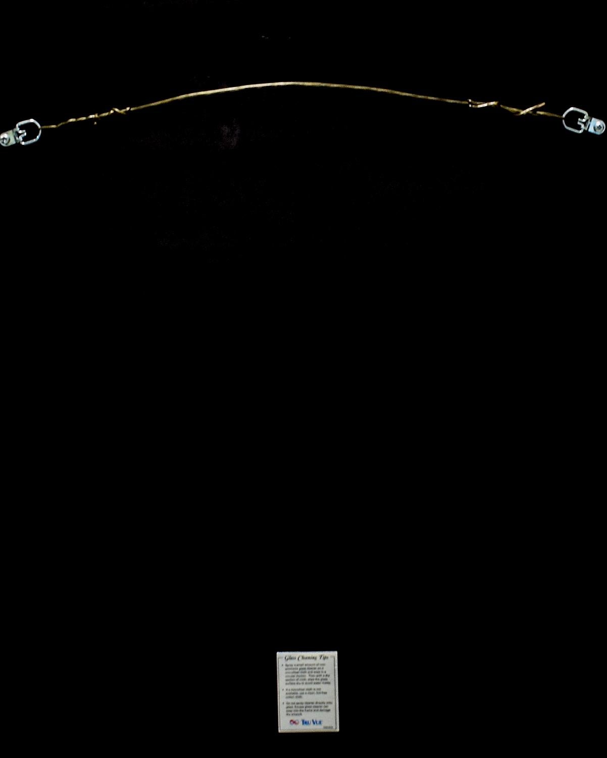 David Sokosh - Linguist (Salacious Tin Type Photo of Male Nude Licking an Ice Pop, blindfolded ...