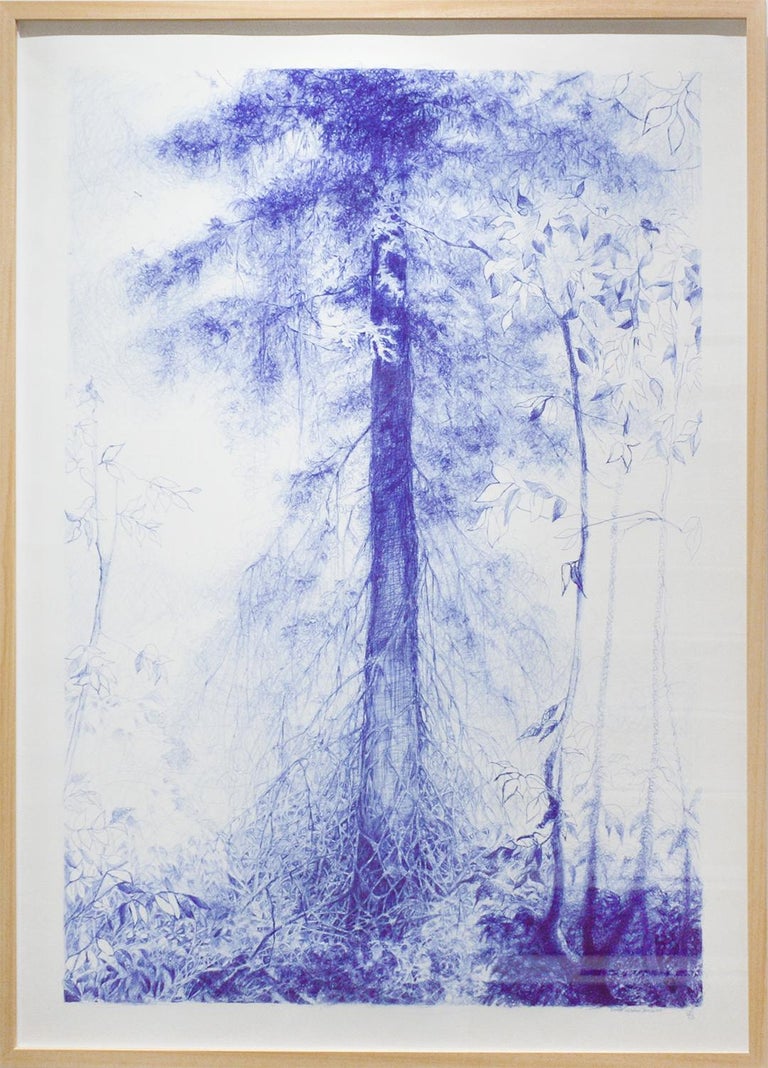 Linda Newman Boughton - Branching (Blue Ballpoint Pen Landscape Drawing ...