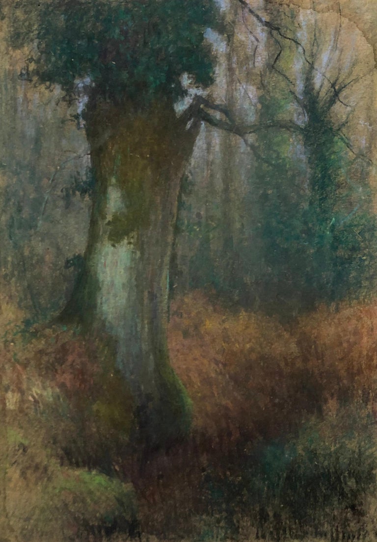Unknown - Tree in the undergrowth, Barbizon School, Pastel For Sale at ...