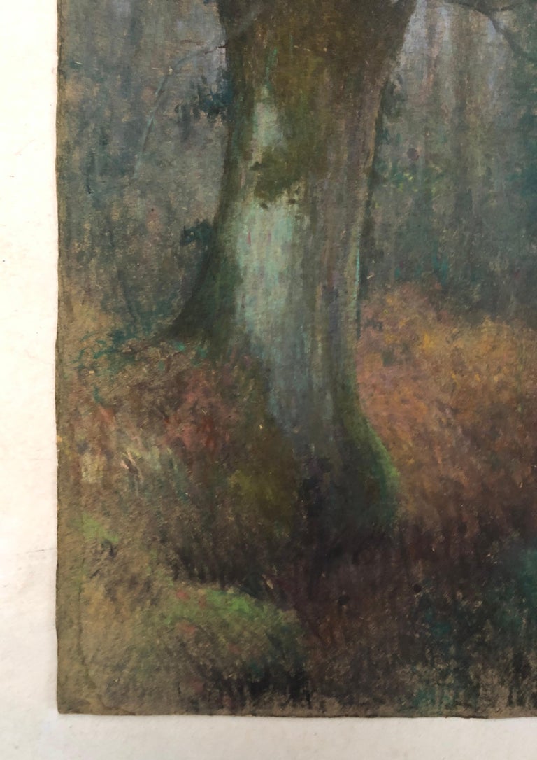 Unknown - Tree in the undergrowth, Barbizon School, Pastel For Sale at ...